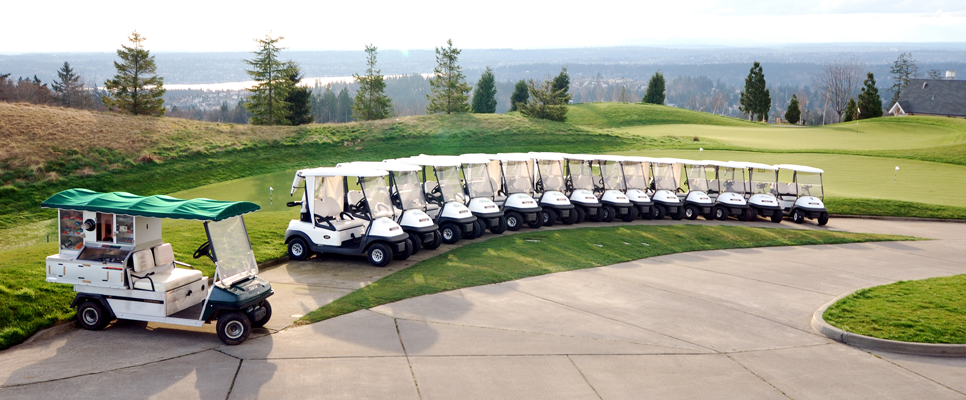 Golf / Utility Vehicle / NEV | Imperial Battery- Houston