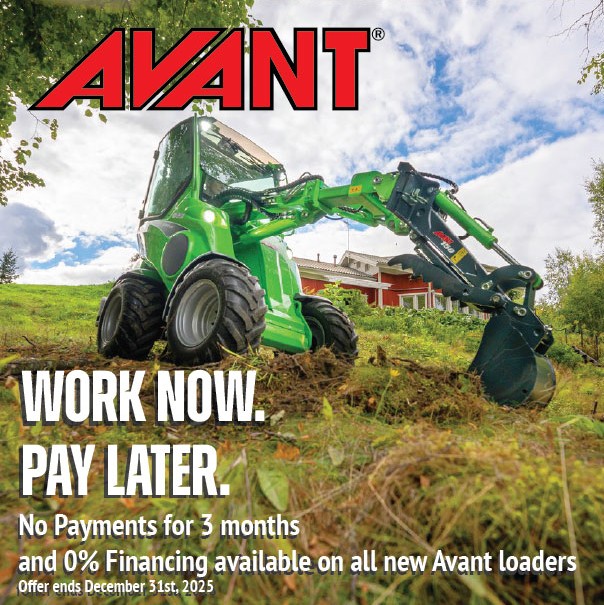 Special Financing from Avant