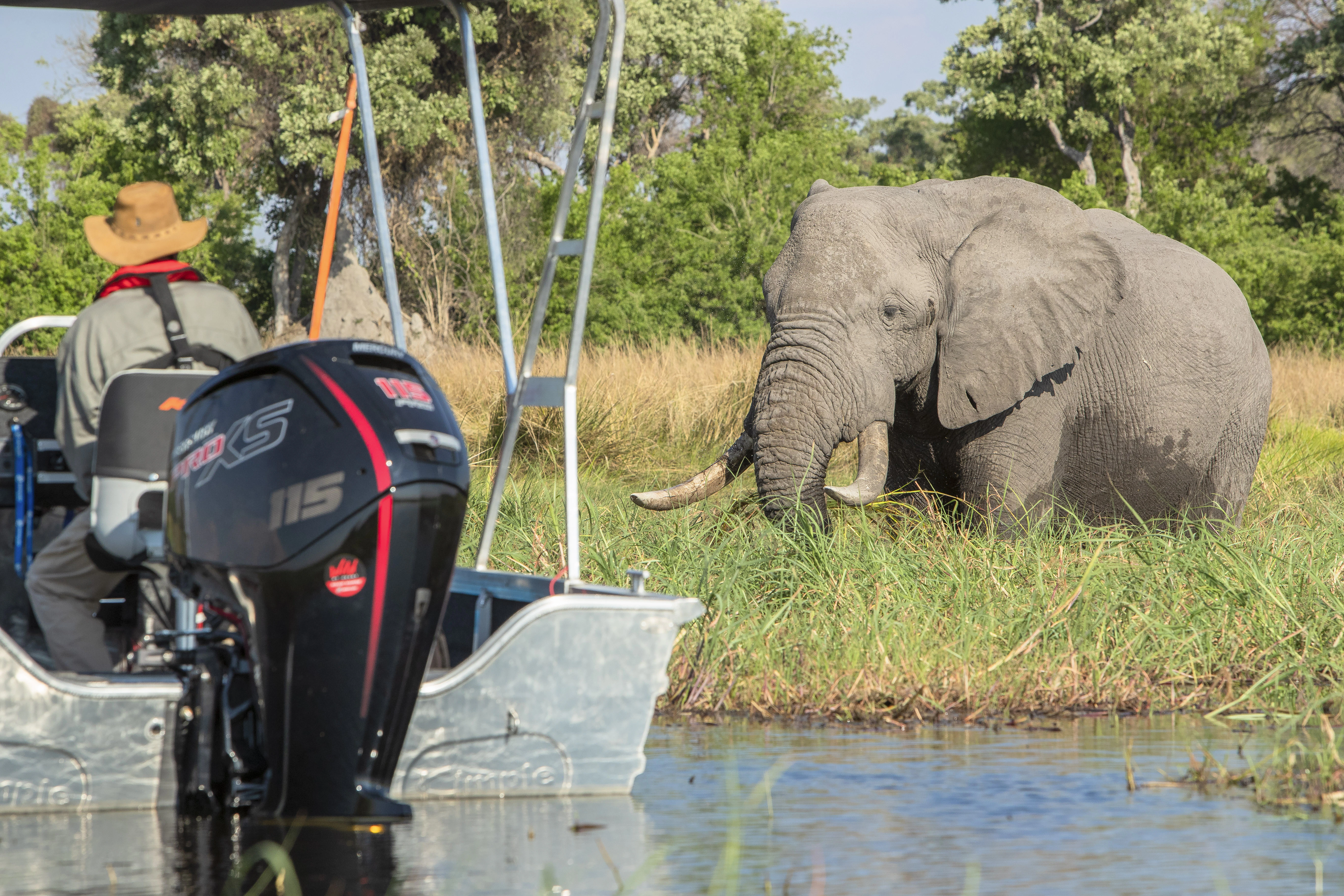 RUTHERFORD MARINE | Mercury Marine Dealer in Johannesburg South ...