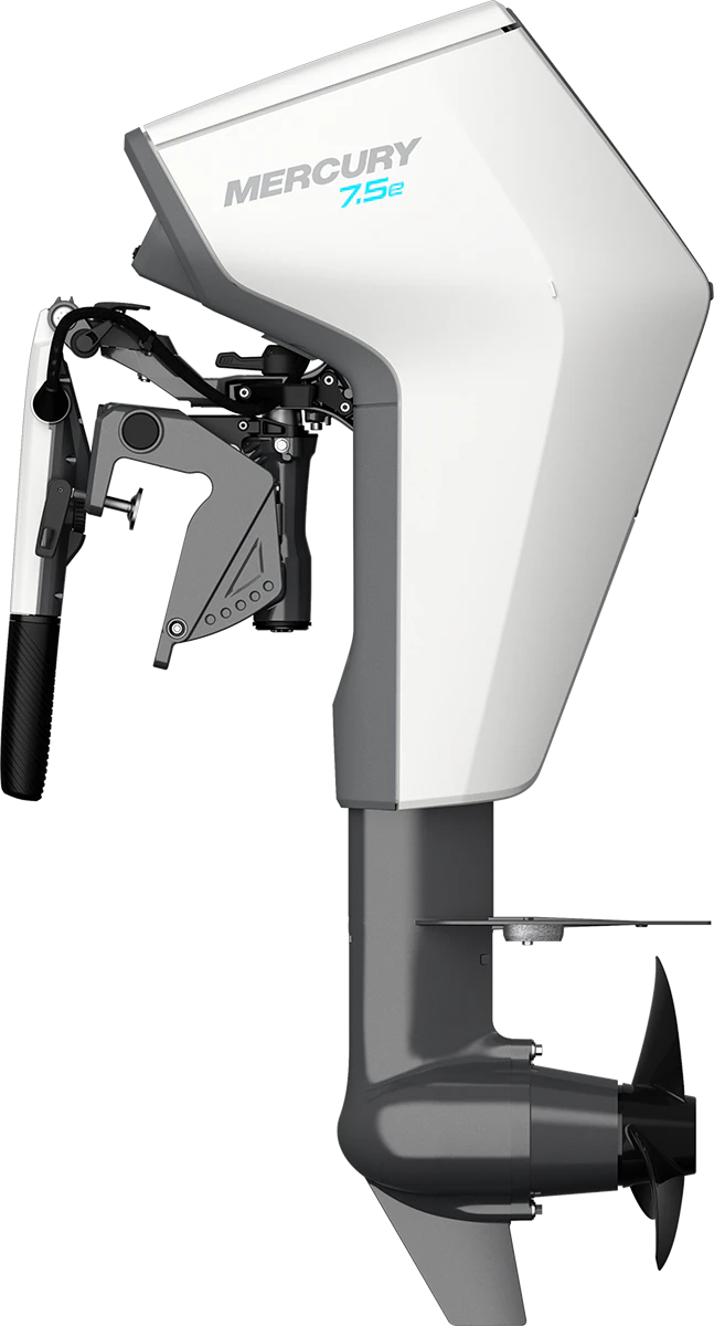 DELMA MARINE | Mercury Marine Dealer in ABU DHABI, ABU DHABI 53382